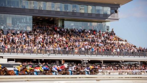 DOOMBEN 10,000 DAY Corporate Hospitality | Doomben Racecourse